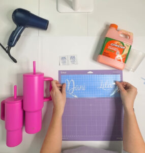 Etched Tumbler Using CitriStrip – Crafty Gal Confessions